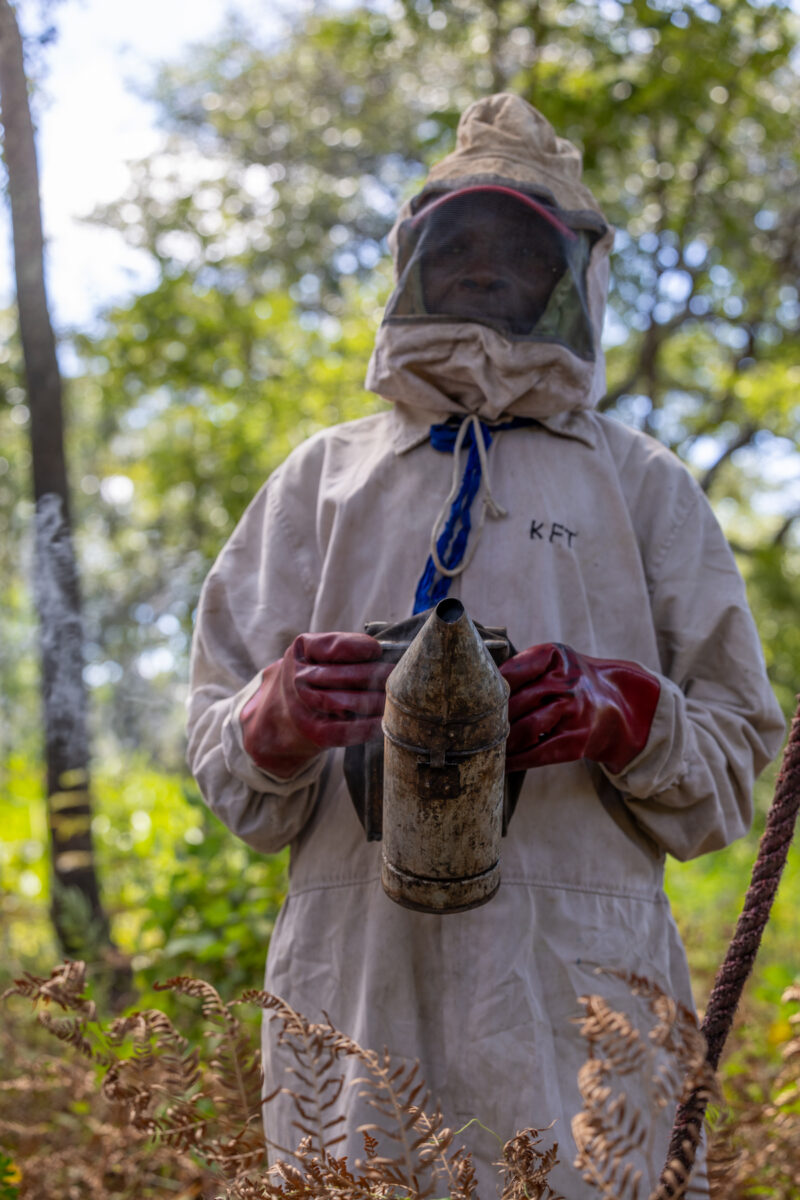 100% Pure Raw Honey Zambia - Wild Hive & Co